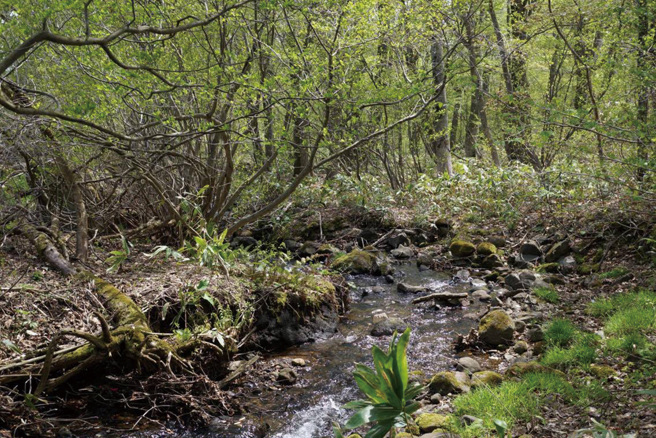 Dialogue - Mikusa [Part 1]